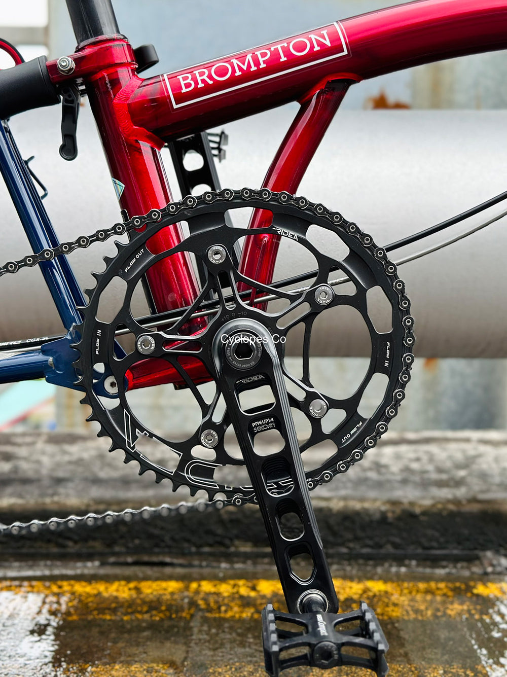 Ridea Oval Chainring – Cyclopes Co