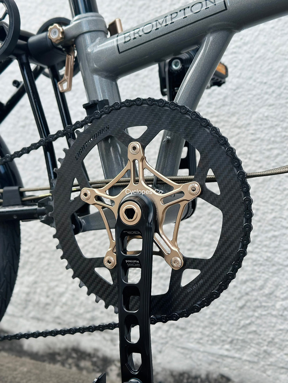 Lightworks Carbon Chainring – Cyclopes Co